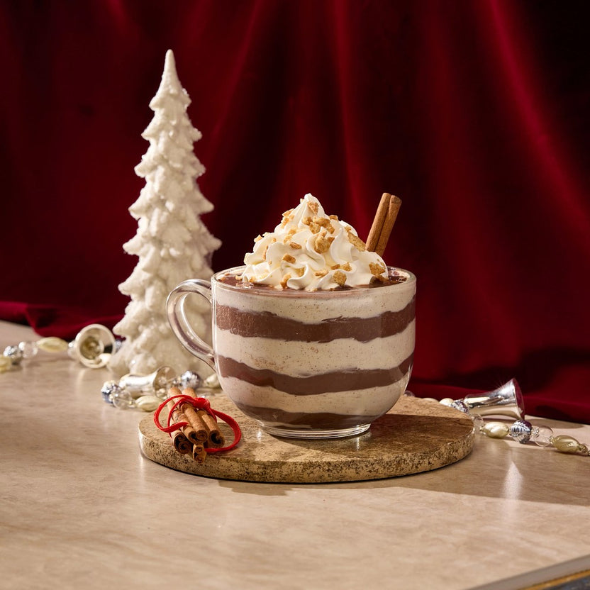 Big Train | Premium Blended Beverage Mixes - Drink Mixes for Any